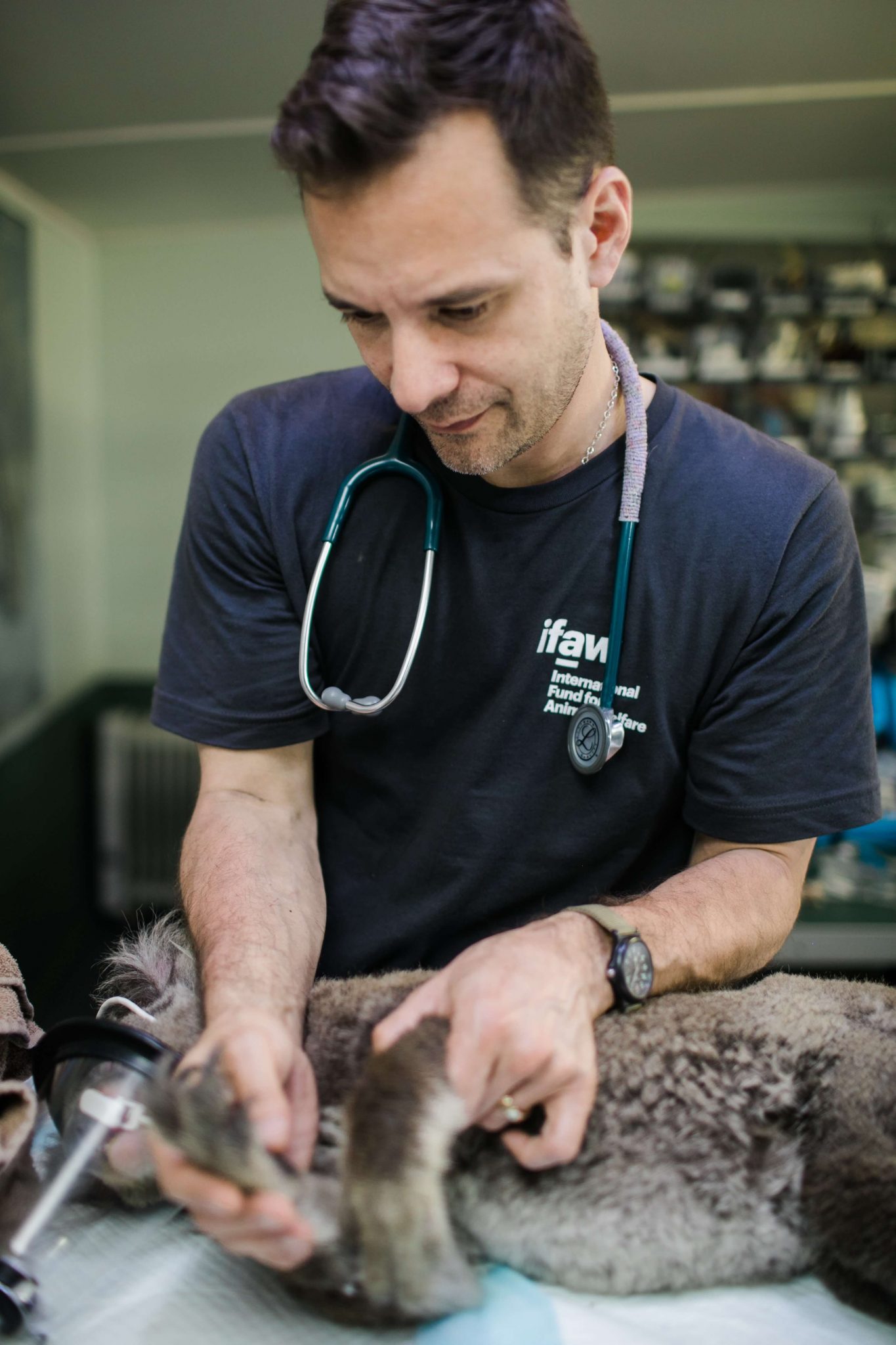 31 Side Hustles For Vet Techs (REAL!) – Passive Marketeer