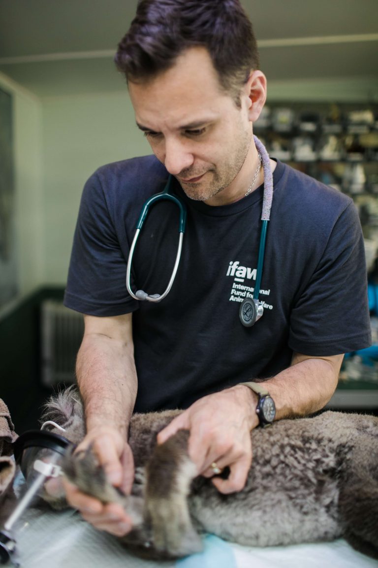 31 Side Hustles For Vet Techs (REAL!) – Passive Marketeer